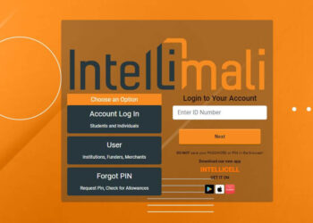 What Is Intellimali And How Does It Work In South Africa?