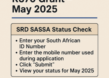 SASSA SRD Status Check Via SRD.SASSA.GOV.ZA Status Check For March 2025